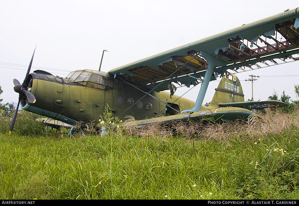 Aircraft Photo of 60066 | Shijiazhuang Y5 | China - Air Force ...