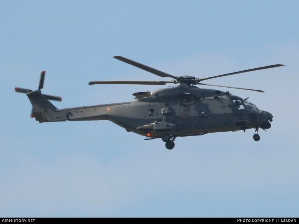 Aircraft Photo of HD.29-18 / 10237 | NHI NH90 TTH | Spain - Air Force | AirHistory.net #575223