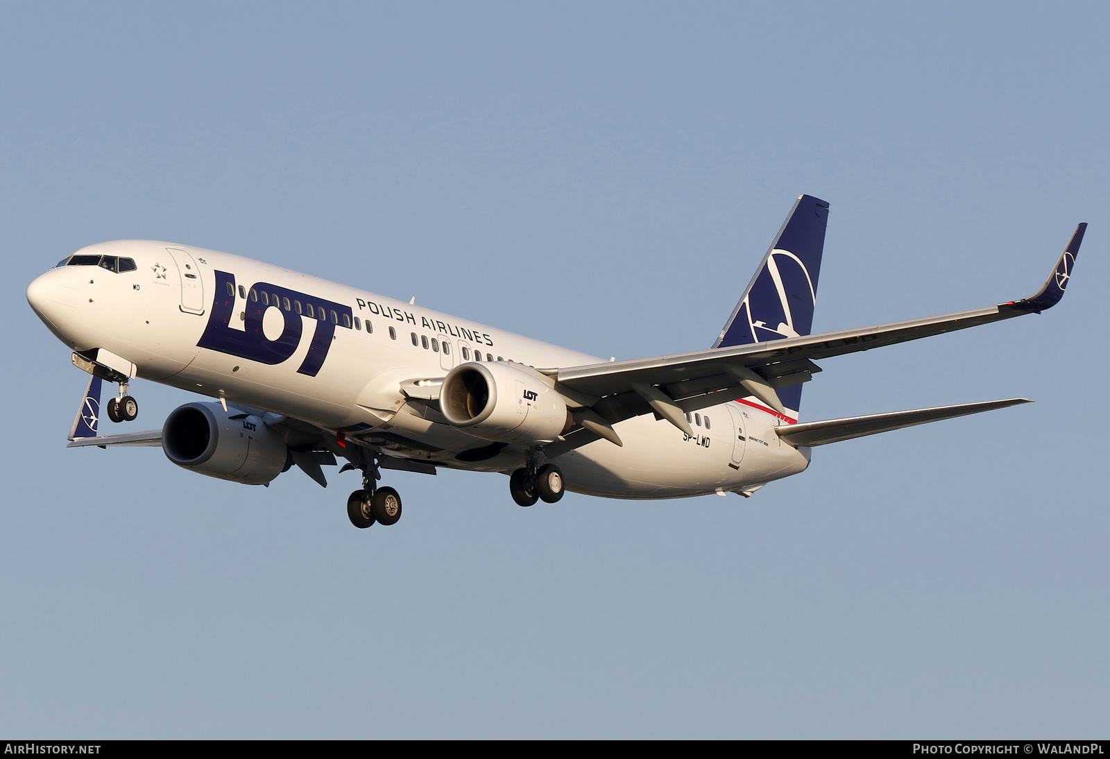 Aircraft Photo of SP-LWD | Boeing 737-89P | LOT Polish Airlines - Polskie Linie Lotnicze ...