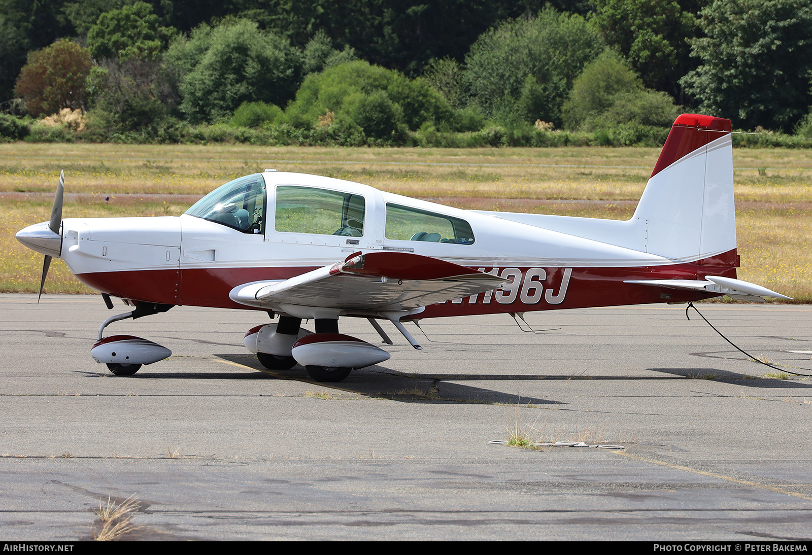 Aircraft Photo of N1196J | American General AG-5B Tiger | AirHistory ...